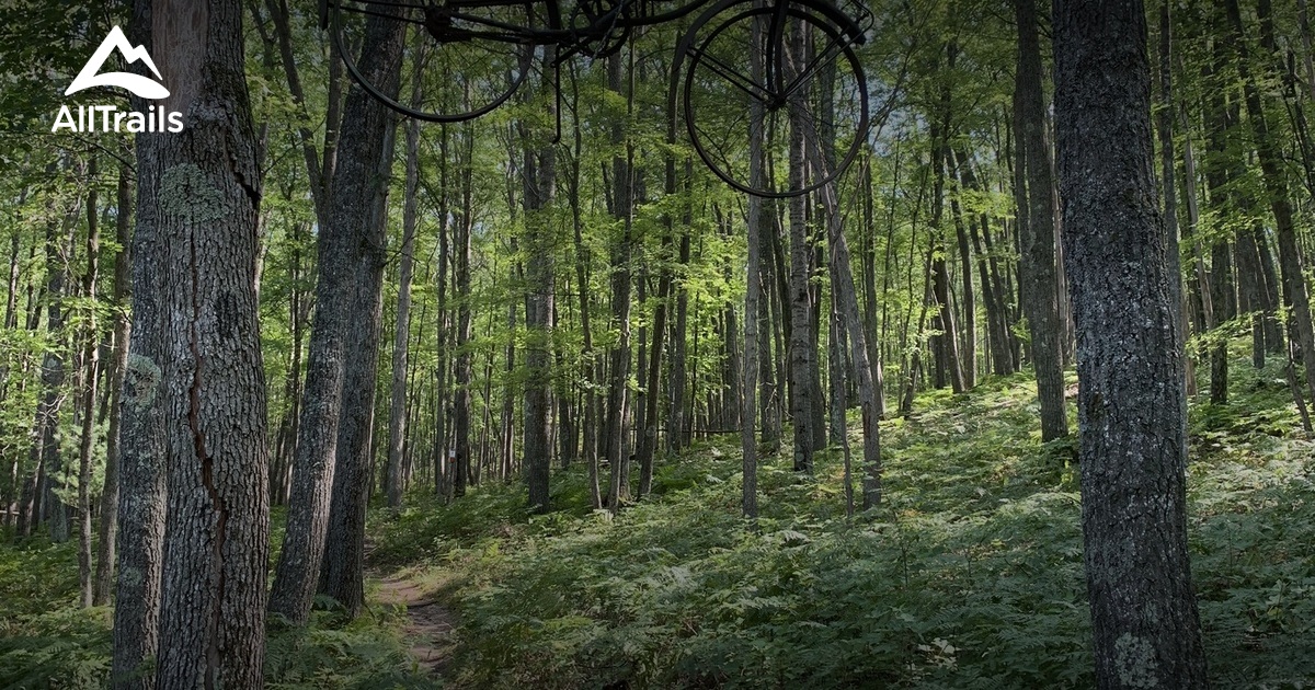 Red Arrow Hill - hikes and trails to get you there | AllTrails