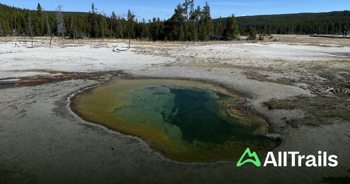 Biscuit Basin - hikes and trails to get you there | AllTrails