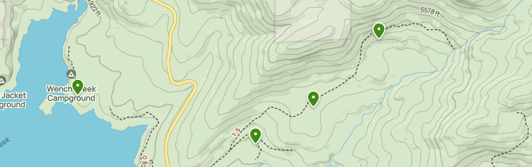 Best Trails near Bassi Falls | AllTrails