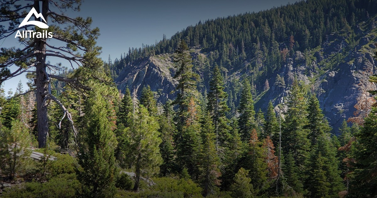 Frazier Falls - hikes and trails to get you there | AllTrails