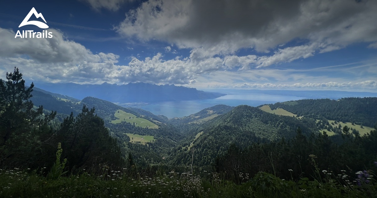 Cape au Moine - hikes and trails to get you there | AllTrails