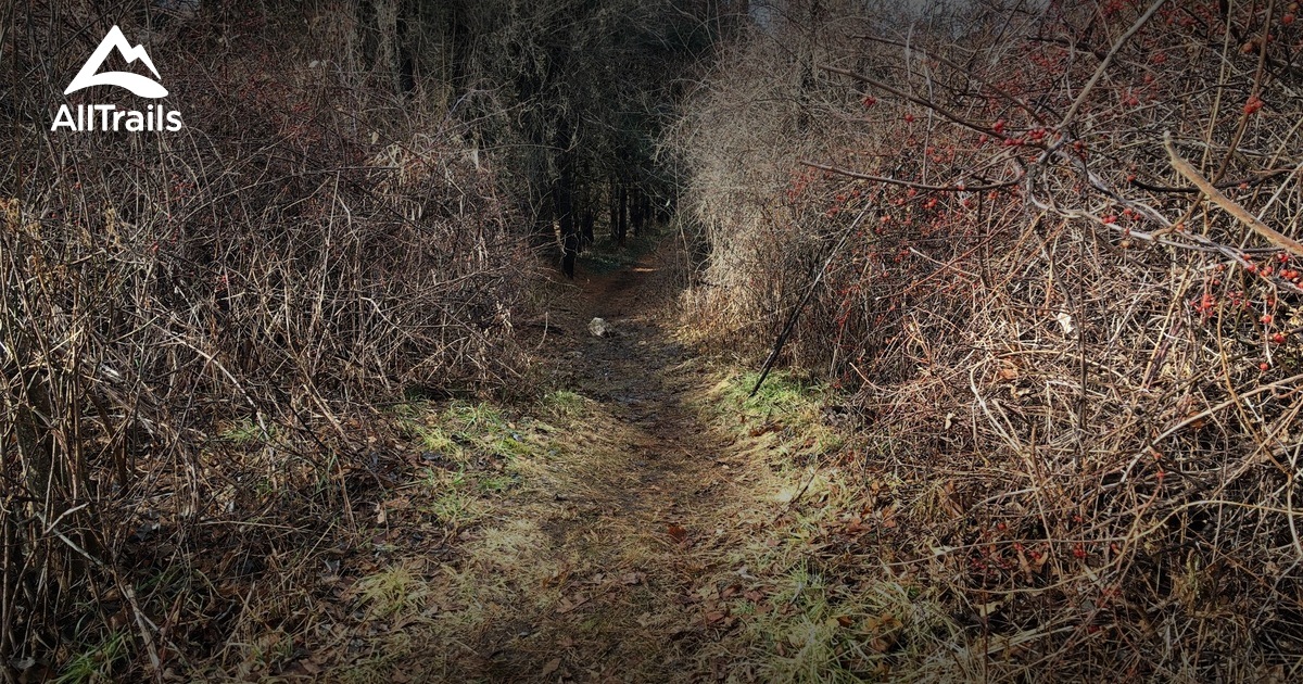 Mount Pollux - hikes and trails to get you there | AllTrails