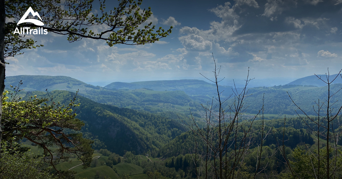 Die 10 Besten Routen in der Nähe von Vogelberg | AllTrails