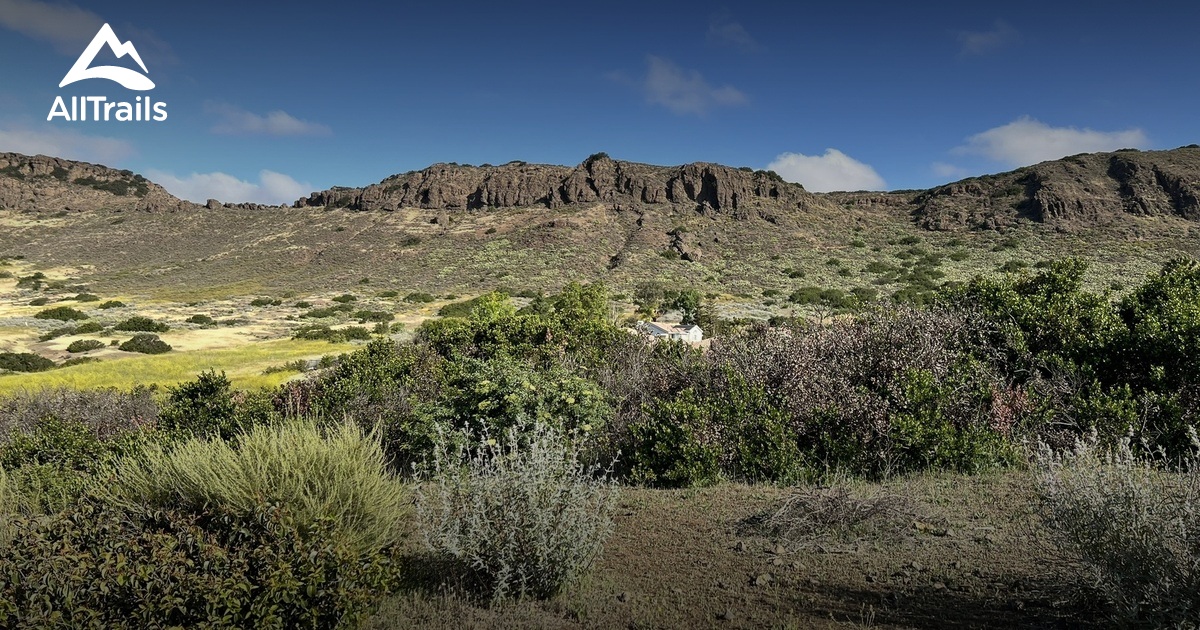 Paradise Falls - hikes and trails to get you there | AllTrails