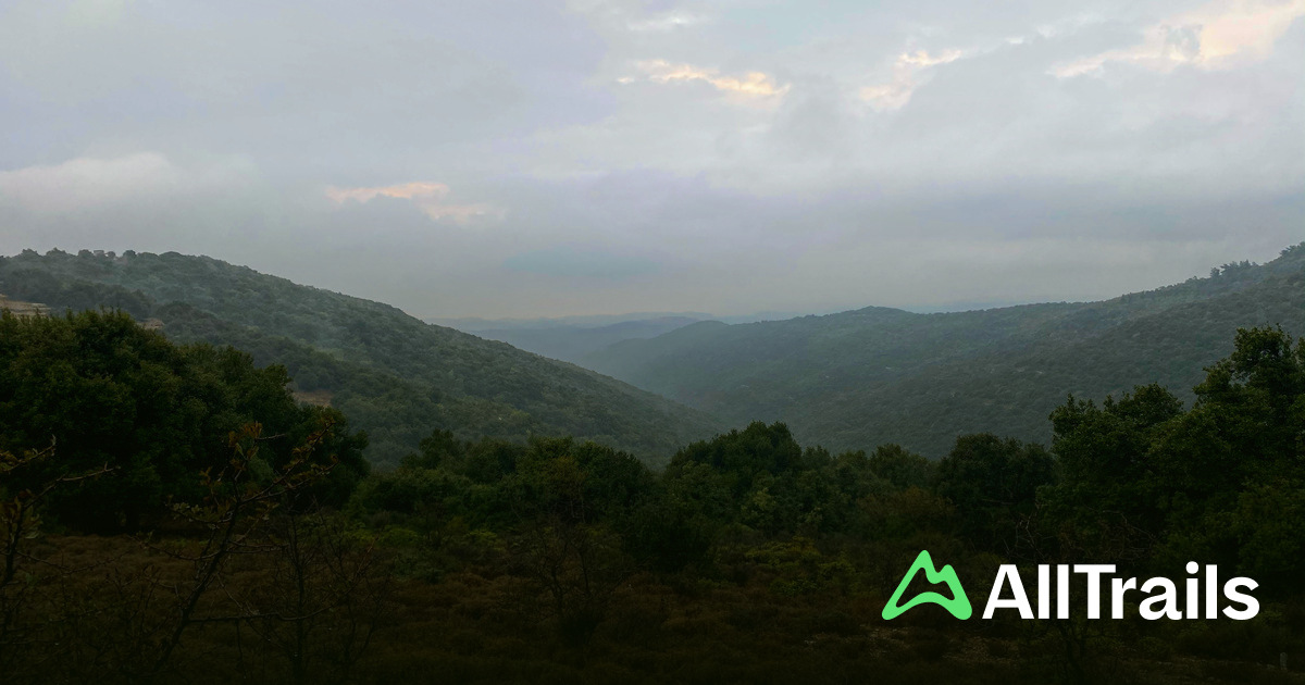 עין גרגה : les meilleures randonnées | AllTrails