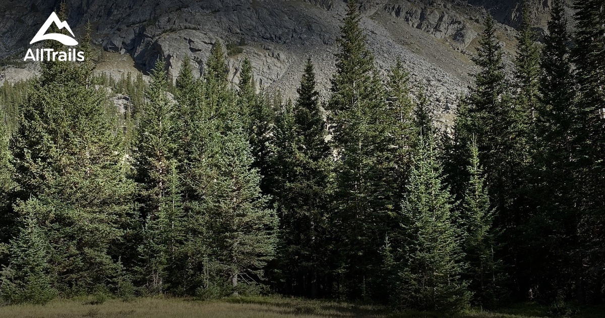 Sentinel Falls - hikes and trails to get you there | AllTrails