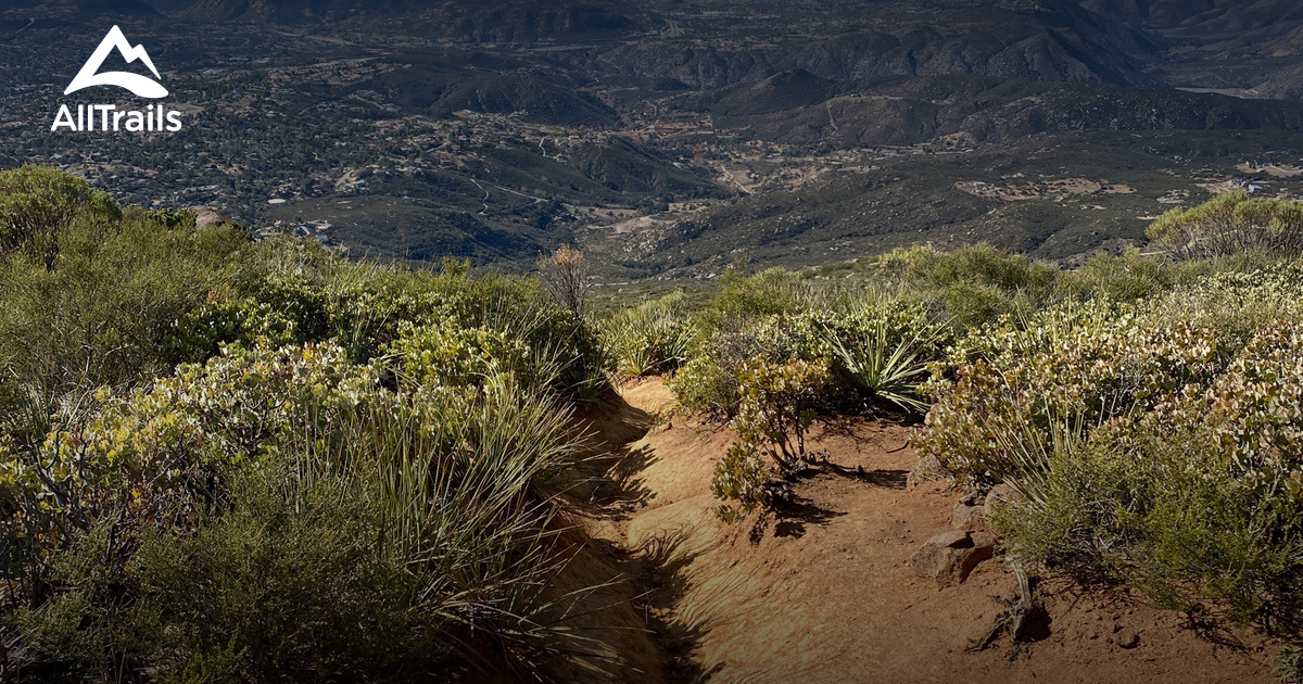 Viejas Mountain - hikes and trails to get you there | AllTrails