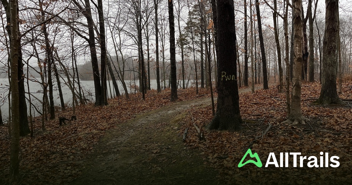 Sam Parr Lake - hikes and trails to get you there | AllTrails
