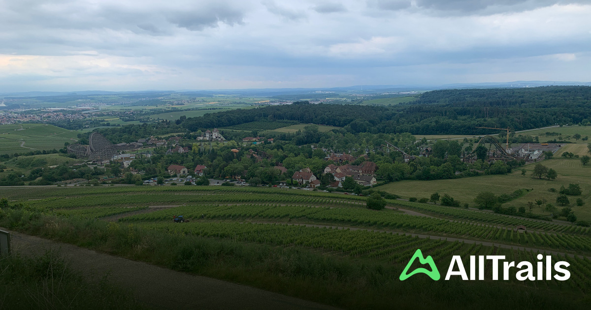 Kloster auf dem Frauenberg - hikes and trails to get you there | AllTrails