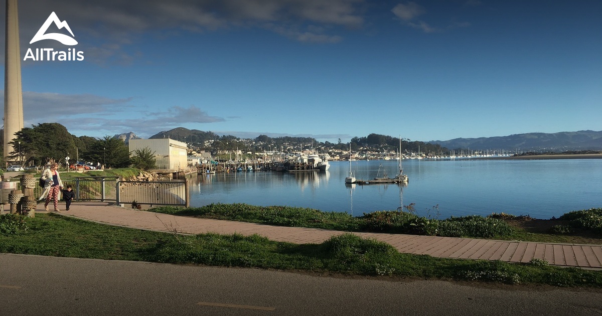 Morro Rock - hikes and trails to get you there | AllTrails