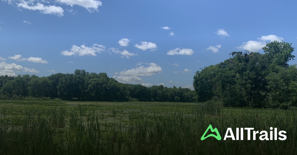 Bedste ruter i nærheden af Maple Beach | AllTrails