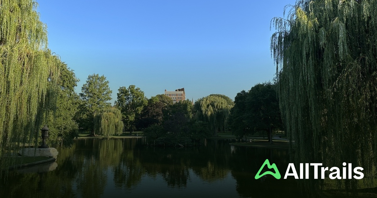 Good Will Hunting Bench - hikes and trails to get you there | AllTrails