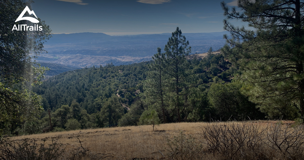 Figueroa Mountain - hikes and trails to get you there | AllTrails