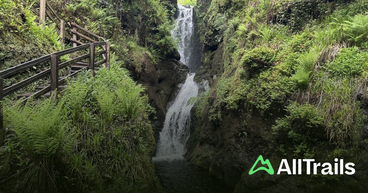 Glenariff Forest Park - hikes and trails to get you there | AllTrails
