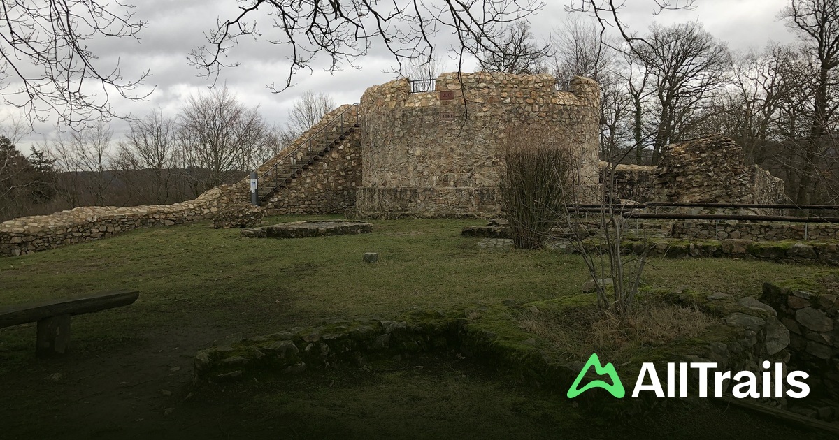 De 10 beste routes in de buurt van Schloss Heiligenberg | AllTrails