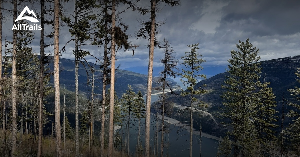 Cliff Point - hikes and trails to get you there | AllTrails