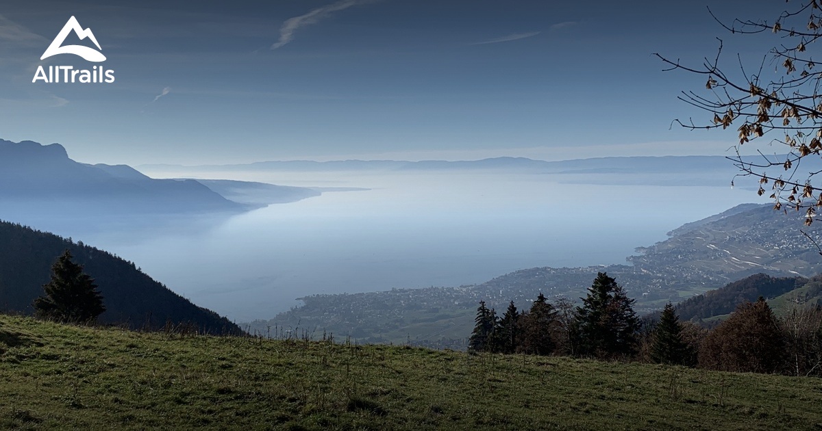 Le Molard : les meilleures randonnées | AllTrails