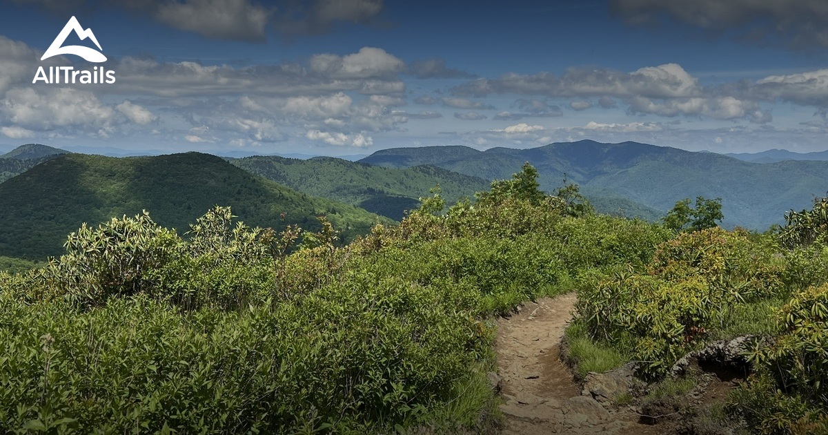 Shining Rock - hikes and trails to get you there | AllTrails