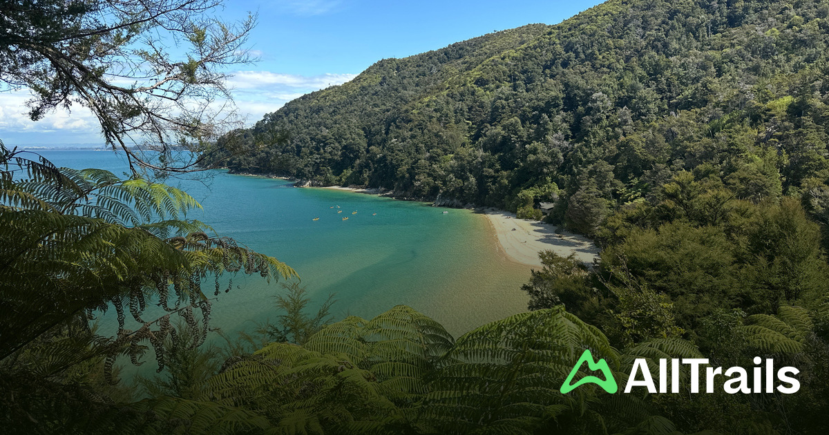 Stu's Lookout - hikes and trails to get you there | AllTrails