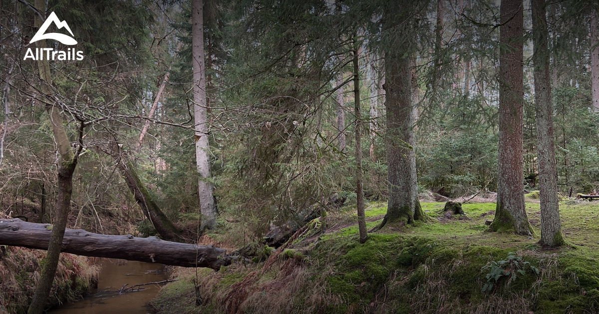 Brunner Berg - hikes and trails to get you there | AllTrails