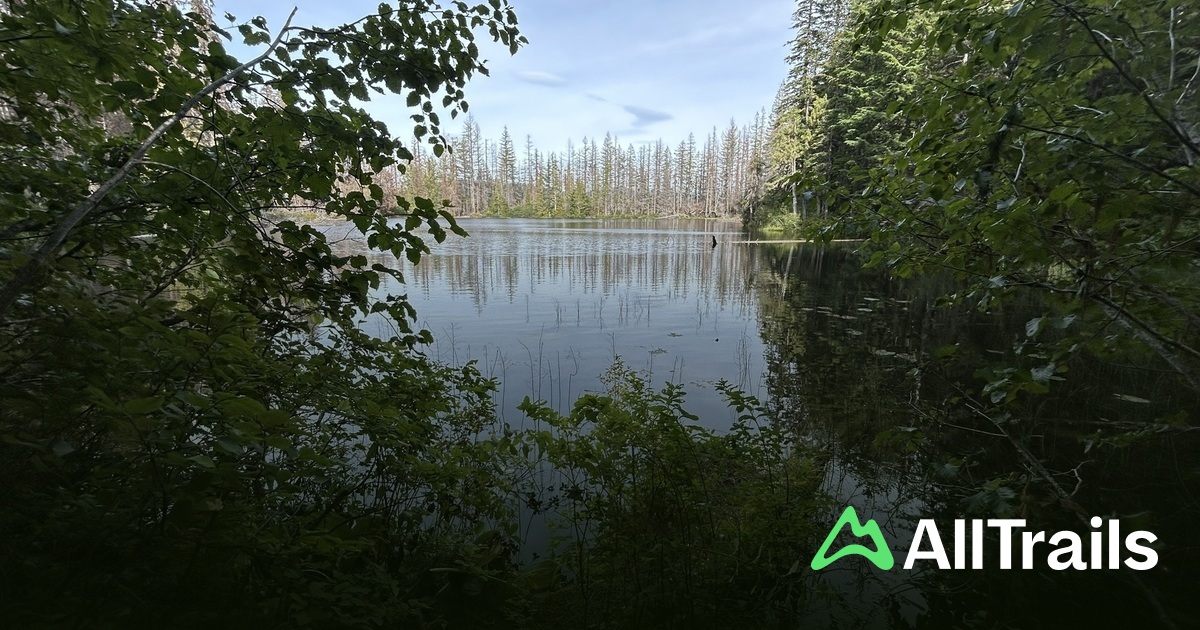 Bluff Lake - hikes and trails to get you there | AllTrails