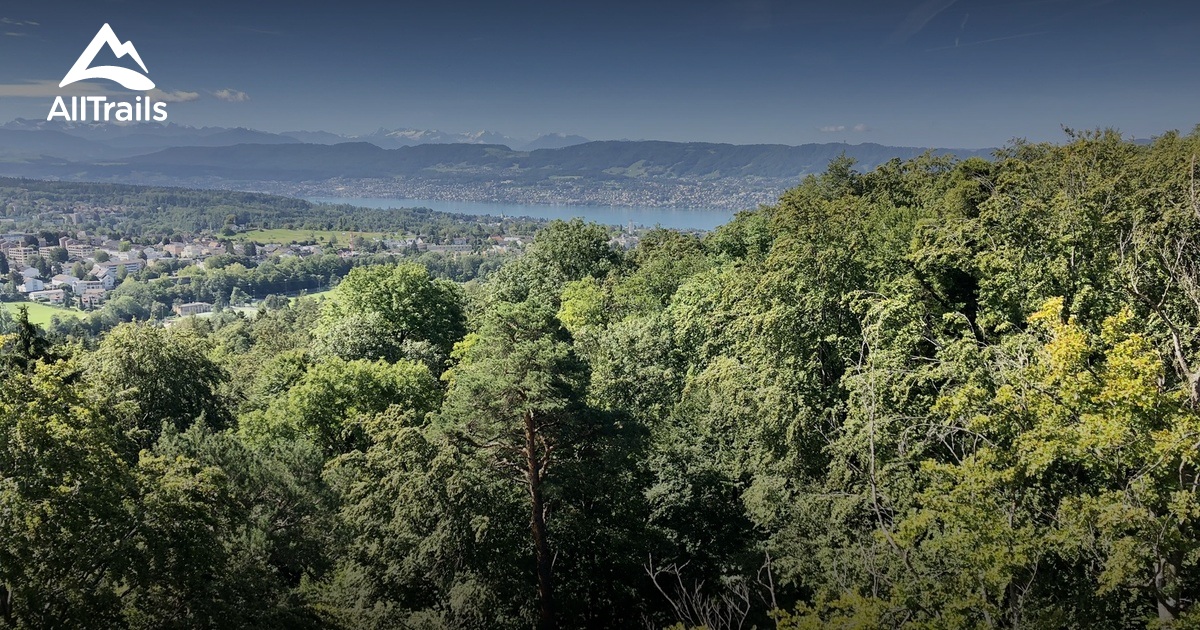 Die 10 Besten Routen in der Nähe von Adlisberg | AllTrails