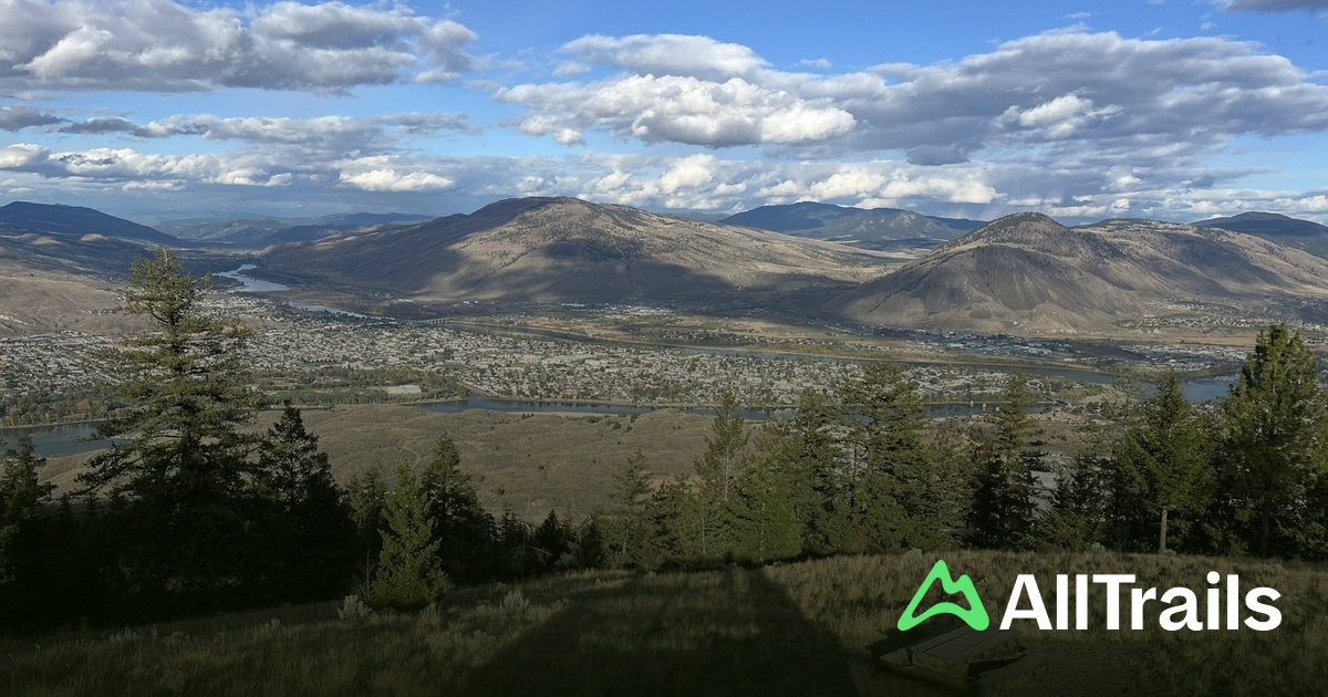 Viewpoint platform - hikes and trails to get you there | AllTrails