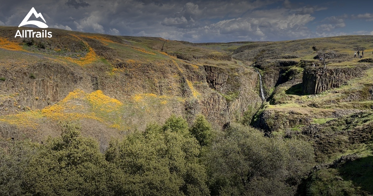Ravine Falls - hikes and trails to get you there | AllTrails