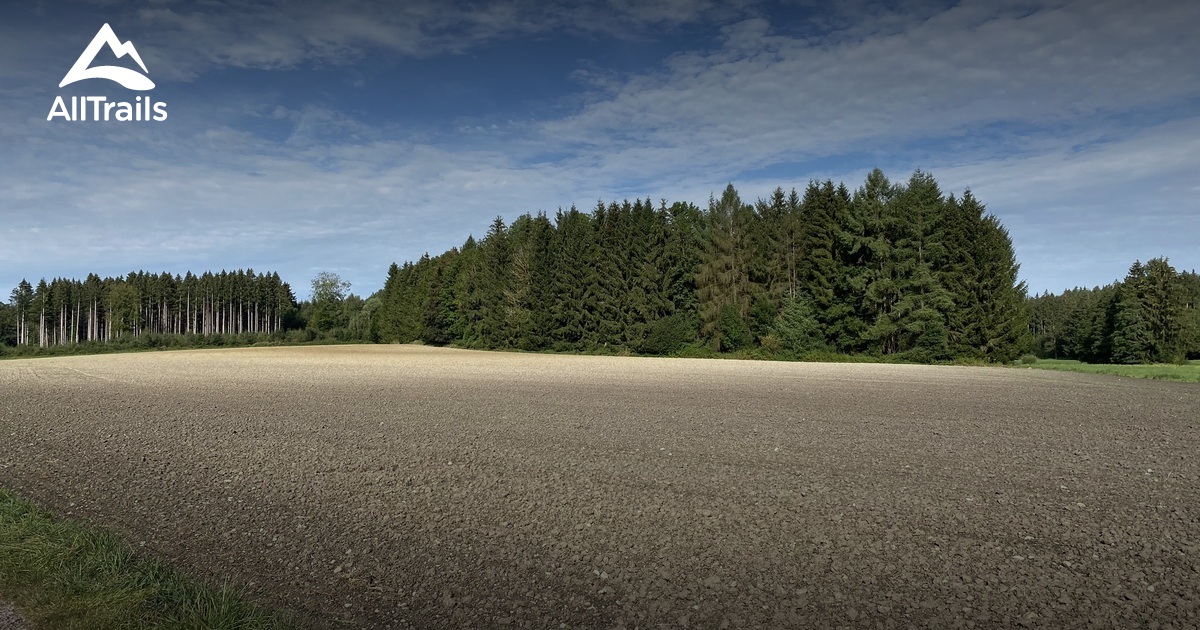 Engelsberg - hikes and trails to get you there | AllTrails