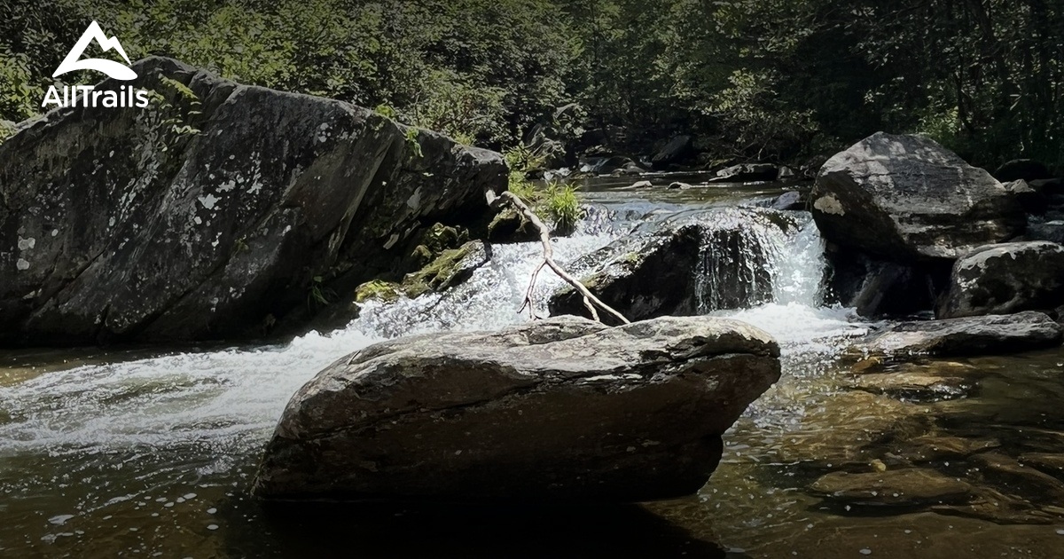 Middle Gragg Prong Falls - hikes and trails to get you there | AllTrails