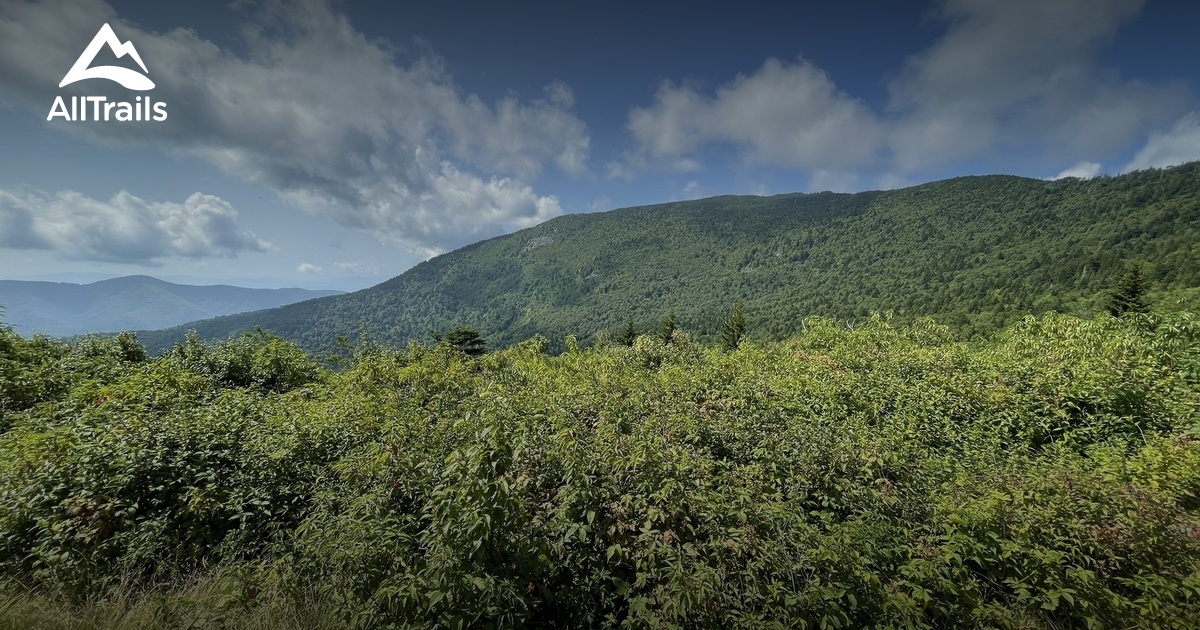 Maple Camp Bald - hikes and trails to get you there | AllTrails