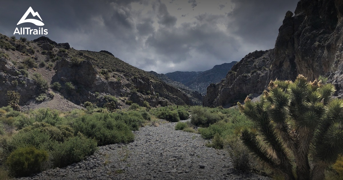 Hayford Peak - hikes and trails to get you there | AllTrails