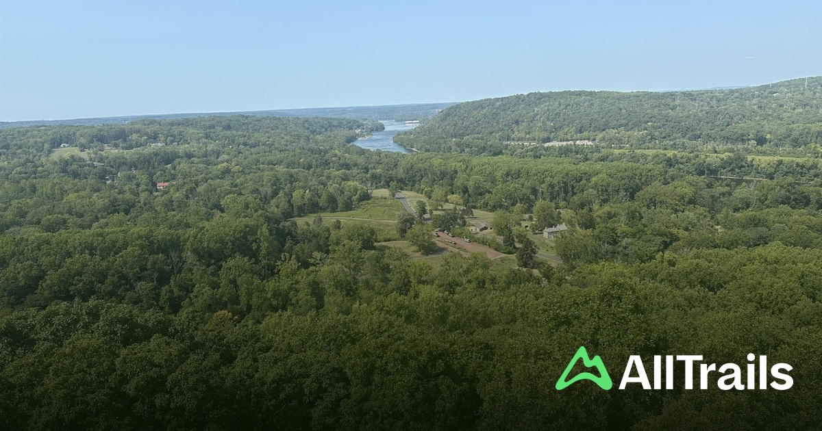 Bowman's Hill Tower - hikes and trails to get you there | AllTrails