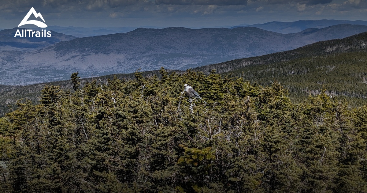 Flume Cascade - hikes and trails to get you there | AllTrails