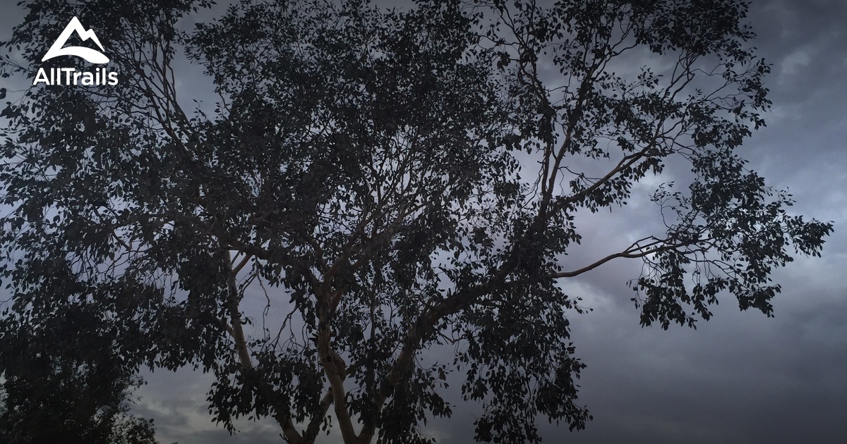 Challen Hill - hikes and trails to get you there | AllTrails