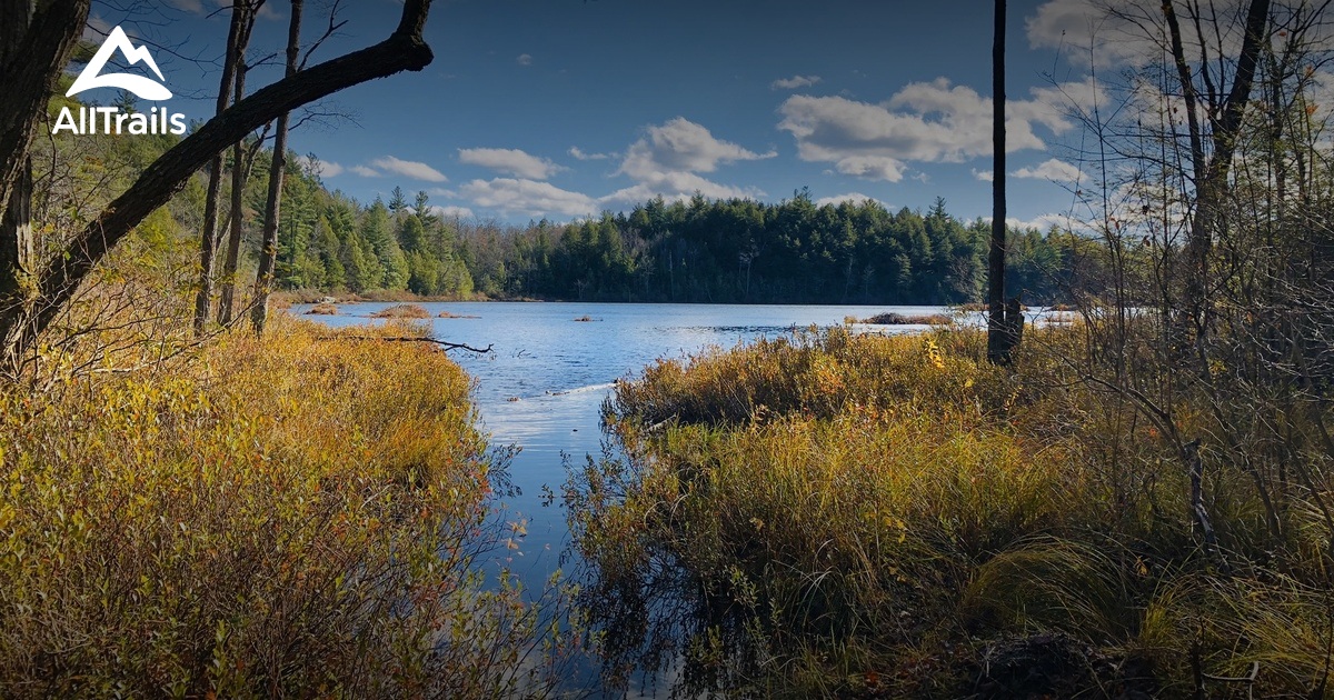 Davis Hill - hikes and trails to get you there | AllTrails