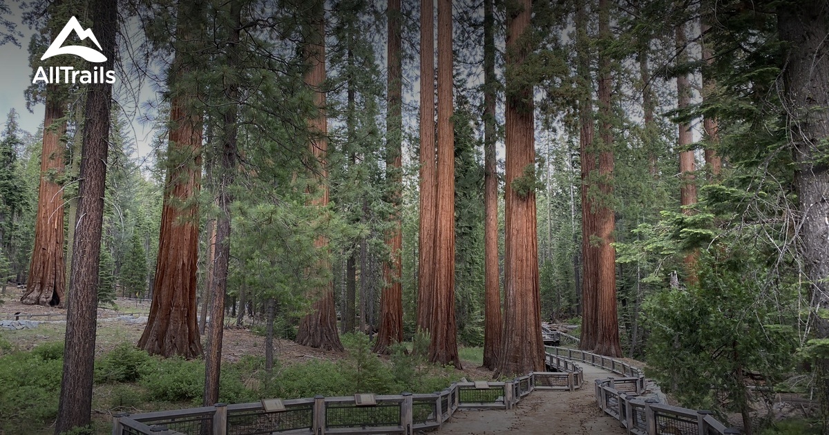 Wawona Point - hikes and trails to get you there | AllTrails