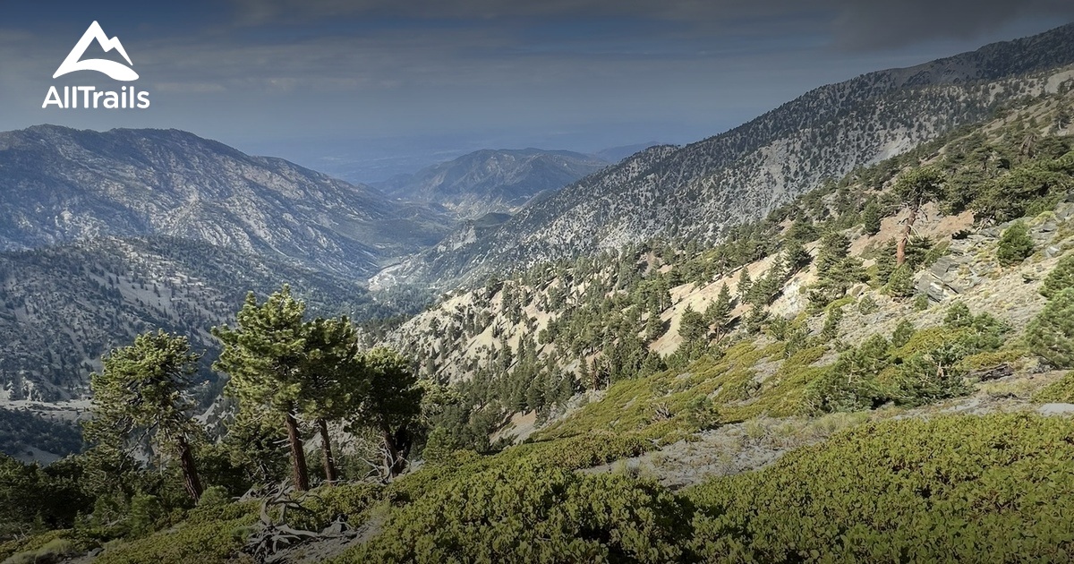 Die 10 Besten Routen in der Nähe von Mount San Antonio | AllTrails