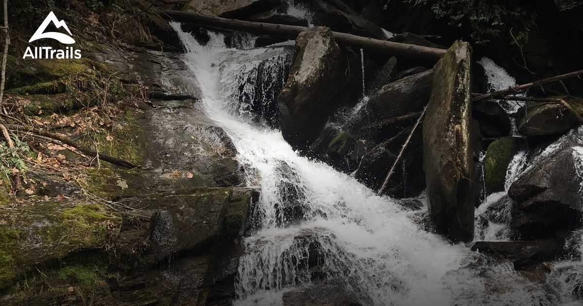 Reece Place Falls - hikes and trails to get you there | AllTrails
