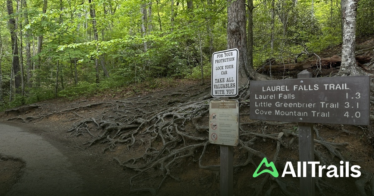 Mount Collins Shelter - hikes and trails to get you there | AllTrails