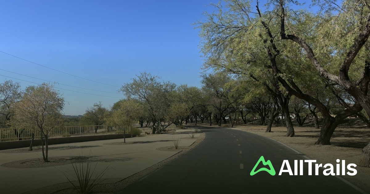 Pantano Wash – najlepsze szlaki w pobliżu | AllTrails