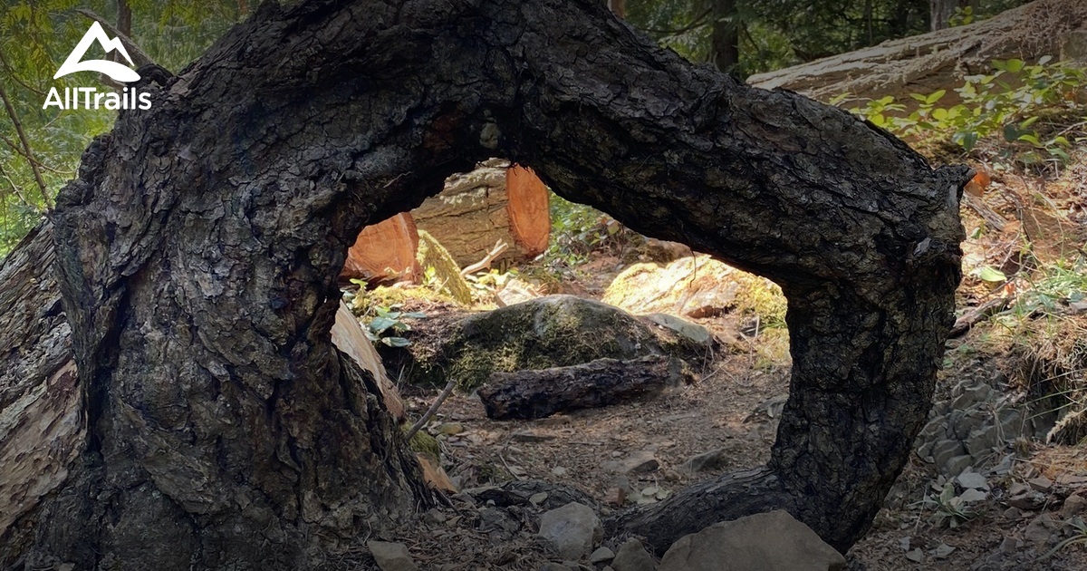 Spalding Hill - hikes and trails to get you there | AllTrails