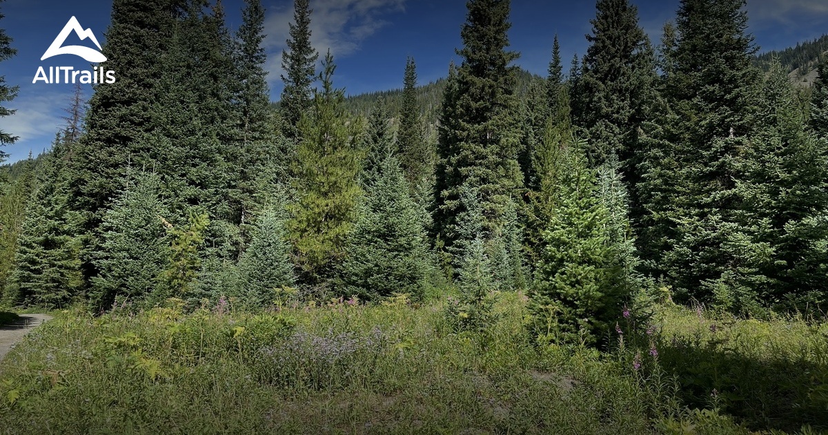Shadow Falls - hikes and trails to get you there | AllTrails