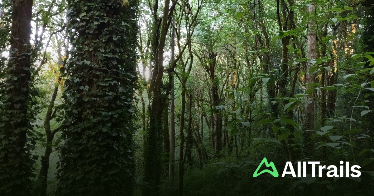 Dead Man's Pond - hikes and trails to get you there | AllTrails