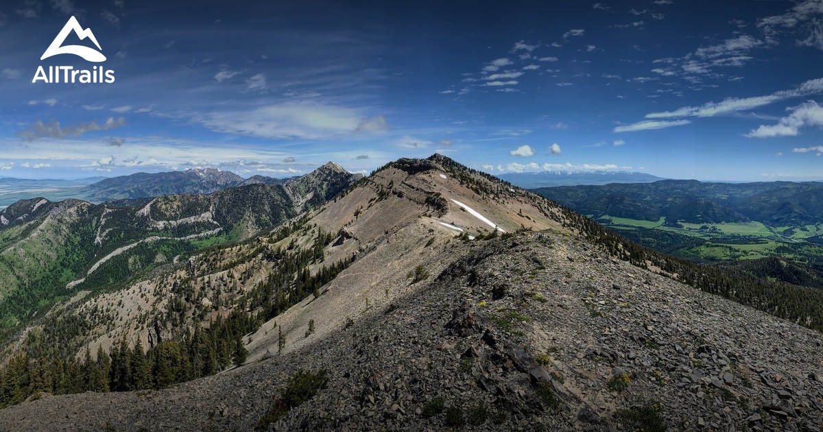 Los mejores senderos cerca de Baldy Mountain | AllTrails