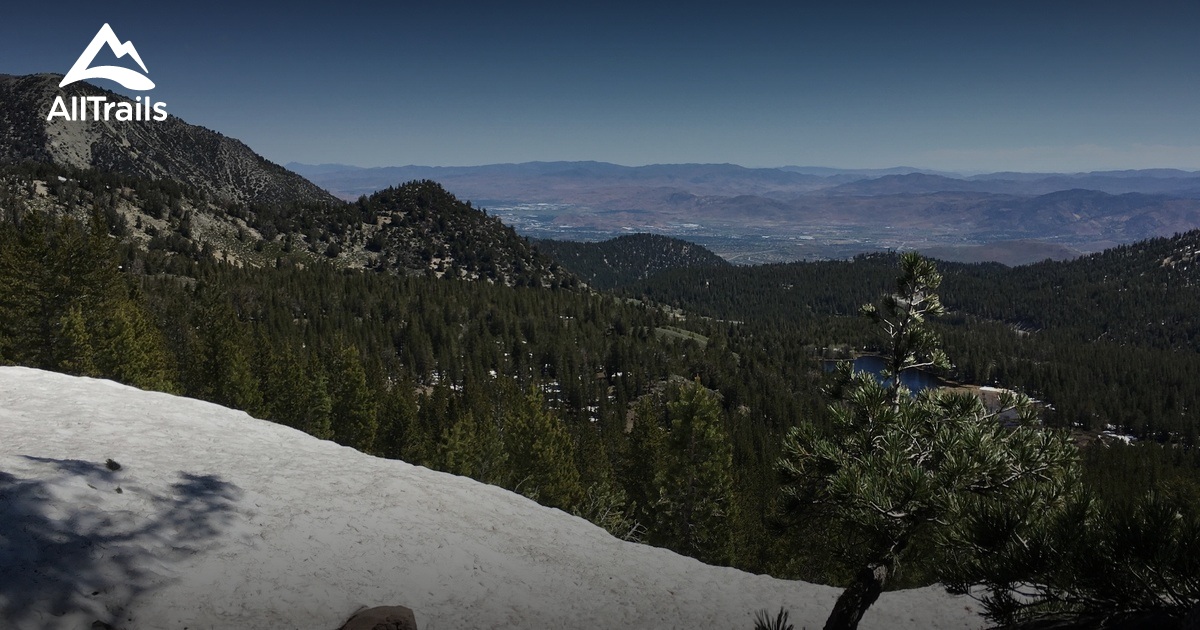 Tamarack Peak - hikes and trails to get you there | AllTrails