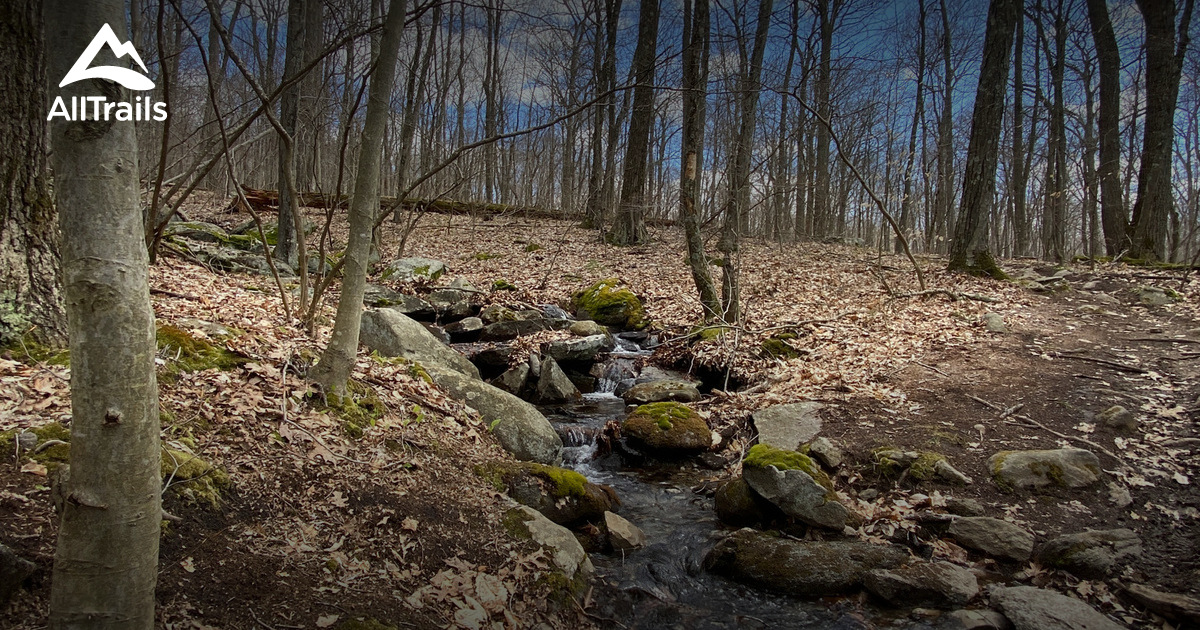 Meshomasic Mountain - hikes and trails to get you there | AllTrails