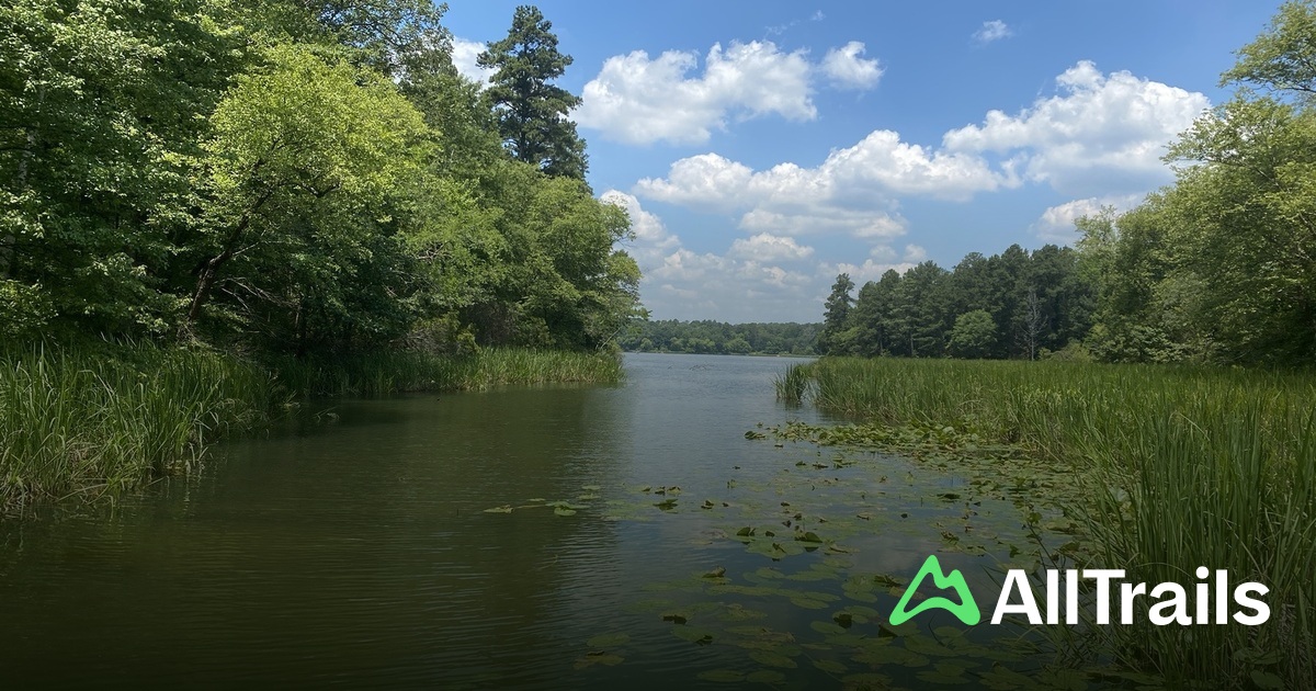 Tyler State Park Lake - hikes and trails to get you there | AllTrails