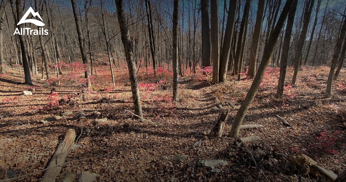 The Cascade - hikes and trails to get you there | AllTrails