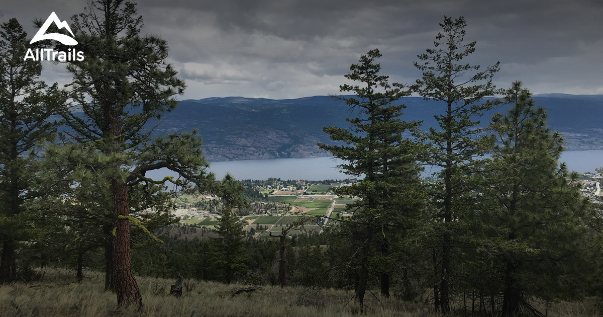 Cartwright Mountain - hikes and trails to get you there | AllTrails